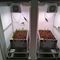 Germination chamber - Aralab