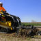 Crawler skid-steer loader - CTX160 - Vermeer - mini