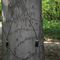 Tree sonic tomograph - ArborSonic 3D - Fakopp Bt