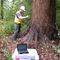 Tree sonic tomograph - ArborSonic 3D - Fakopp Bt