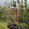 Harvesting platform - Platform - Frucotec - tree pruning / self ...