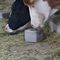 Cattle lick block - Calphos - Royal İlaç - goat / for sheep / with ...