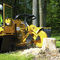 Walk-behind stump grinder - RG70X - Rayco