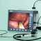 Endoscopic camera veterinary imaging display - SILVER SCOPE® - KARL ...