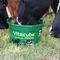 Cow mineral bucket - Vitacube® - farmann - goat / for sheep / for horses