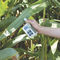Chlorophyll meter - SPAD-502Plus - Konica Minolta