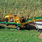 Corn harvester machine - CP100 - Oxbo - sweet corn / towed / 1-row