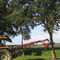 Hydraulic tree shaker - HSA 10 - LIPCO - fruit / mounted