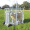 Sheep weighing system - Condon Engineering - digital / analog / platform