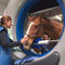 Horse veterinary CT scanner - Pegaso™ Evolution - Epica Animal Health ...