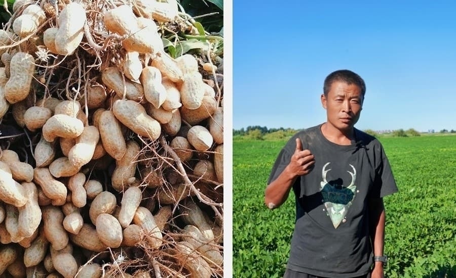 Farmers' fieldwork in China results in higher earnings with CHCNAV ...