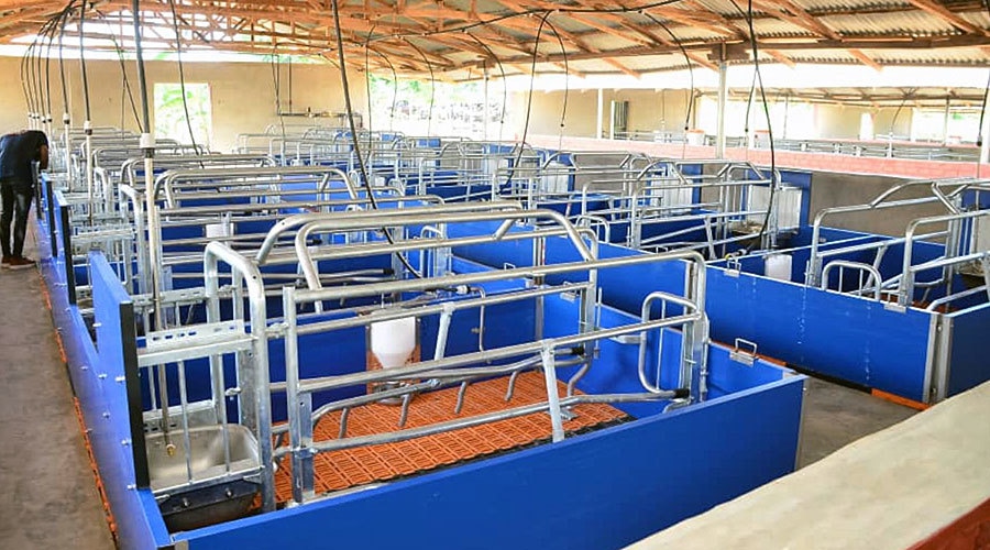 Ultra-modern piggery project in Nigeria - Auf d. Lage 2, 49377 Vechta ...