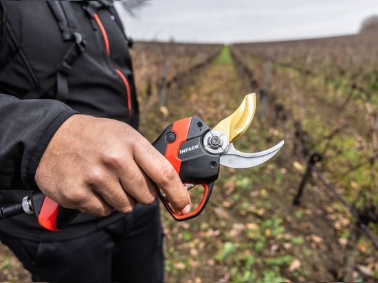 Why buy your new electric pruning shears? will be the best investment ...