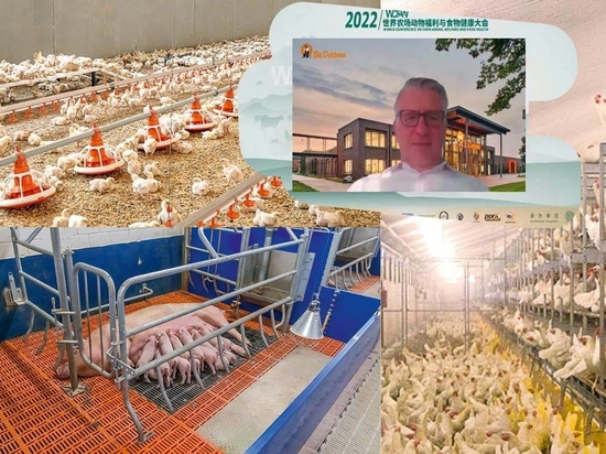 Market insights and technologies - Auf d. Lage 2, 49377 Vechta, Germany ...