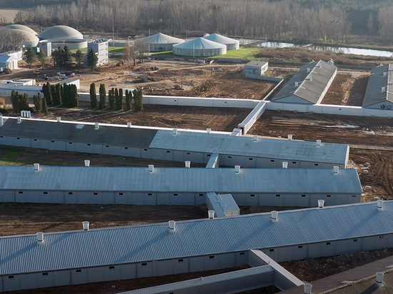 Big Dutchman equipa una granja para 6.000 cerdas - Auf d. Lage 2, 49377 ...