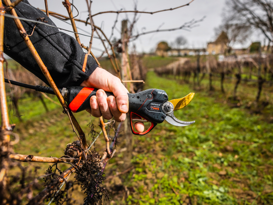 Discover INFACO's AT1000 Tying Machine - 35 Bois de Roziès, 81140 ...