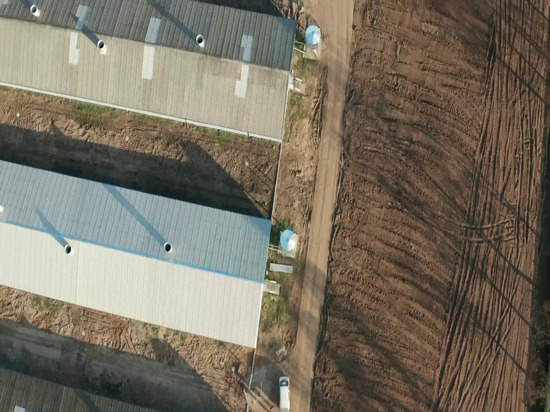 Big Dutchman equips farm for 6,000 sows - Auf d. Lage 2, 49377 Vechta ...