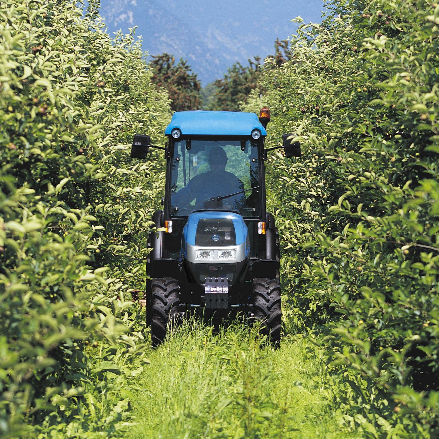 Trattore stretto - Rex V/S cab/plat series - Landini - con inversore ...