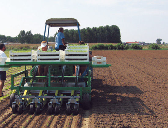 Trapiantatrice per insalata - TRE series - HORTECH Srl - per patate ...
