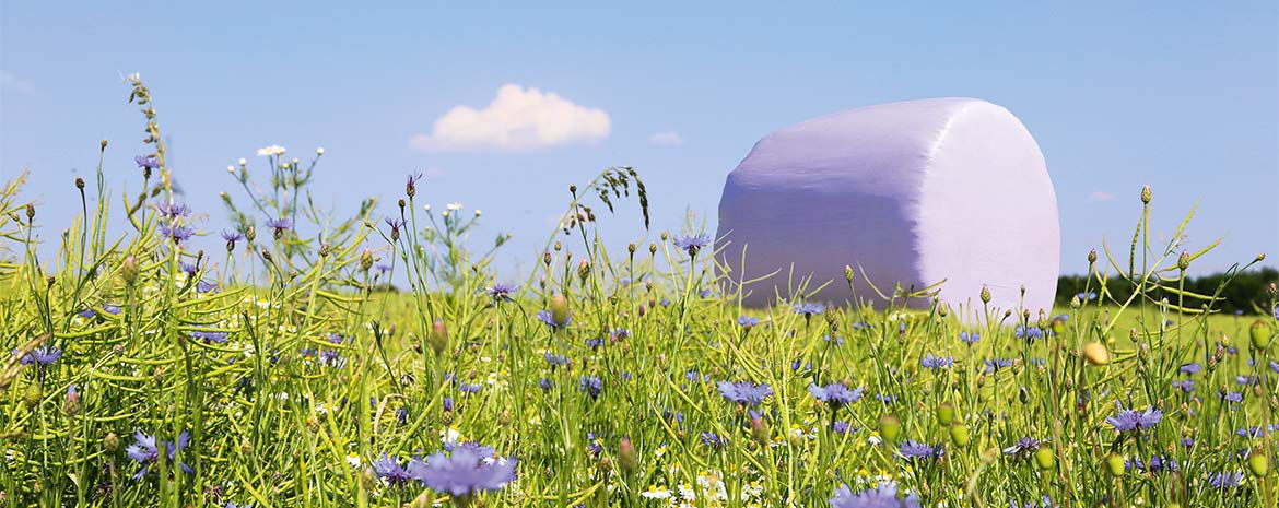 Film di fasciatura - AGRIFOL, POLYSTRETCH, LAVANDA Series - Zill GmbH & Co. KG - in polietilene ...