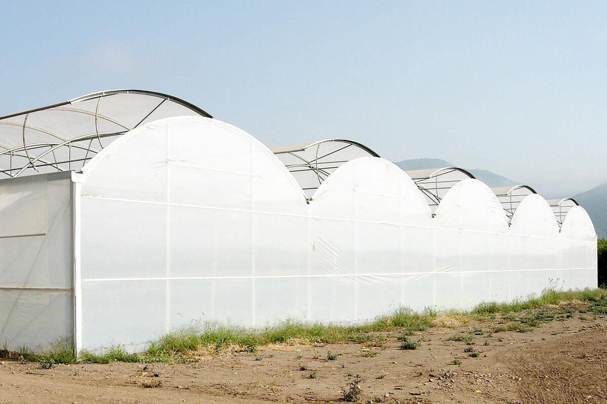 Sistema di ventilazione sul colmo - Ulma - per serra