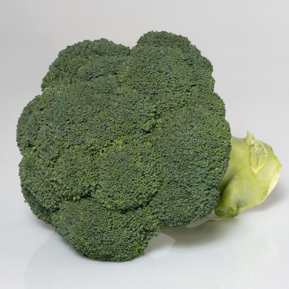 Semi di broccolo a semina primaverile - COVINA F1 - Bejo Zaden B.V. - a ...