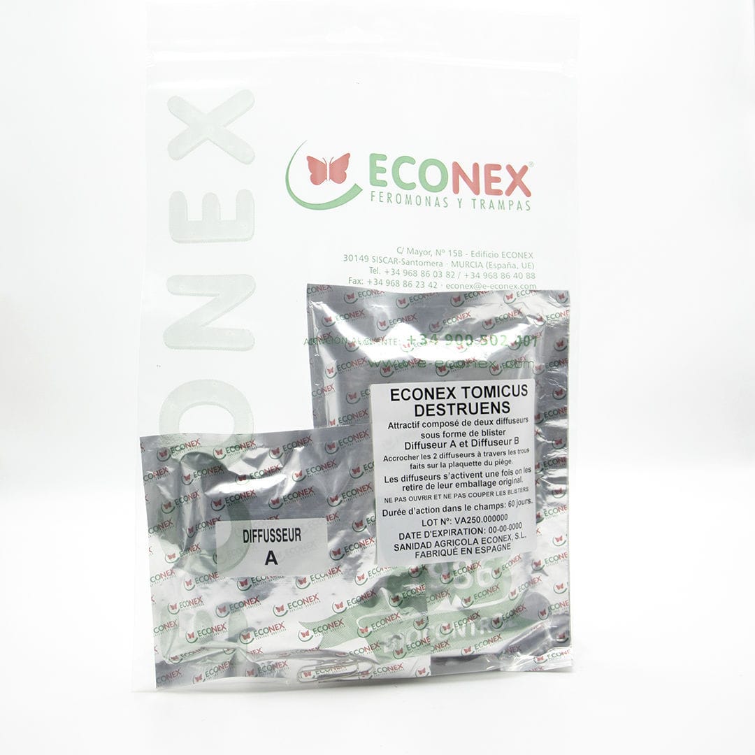 Capsula a feromoni contro i coleotteri - TOMICUS DESTRUENS / 60 DAYS ...