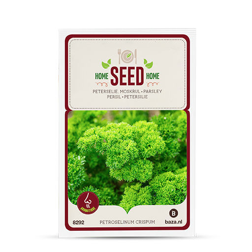 Semi di prezzemolo - 708292 - BAZA Seeds Holland b.v.