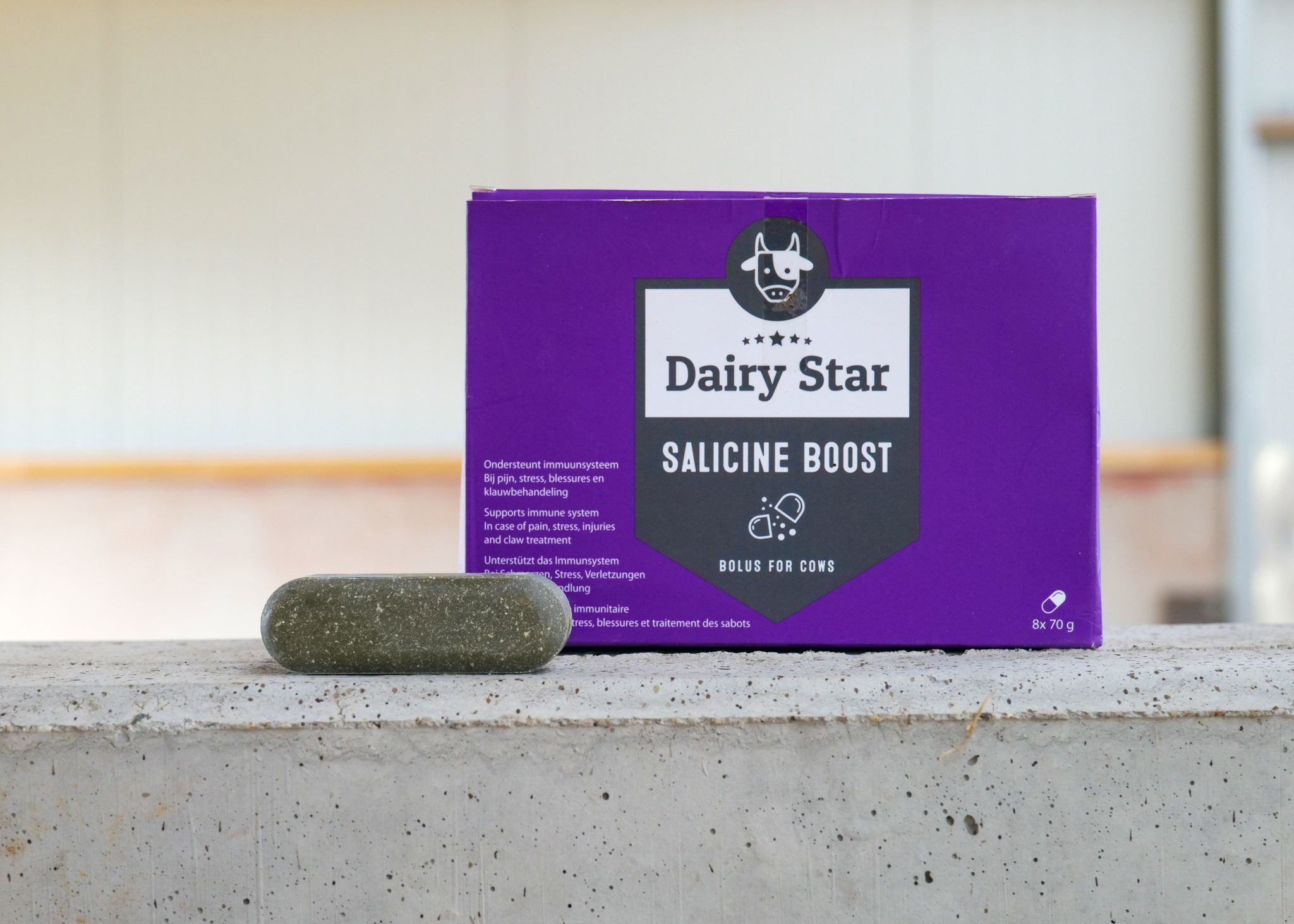 栄養摂取ボーラス - DairyStar Salicine Boost - AGRIPROM - 牛用 / 抵抗力の増大用 / 雌牛の快適性