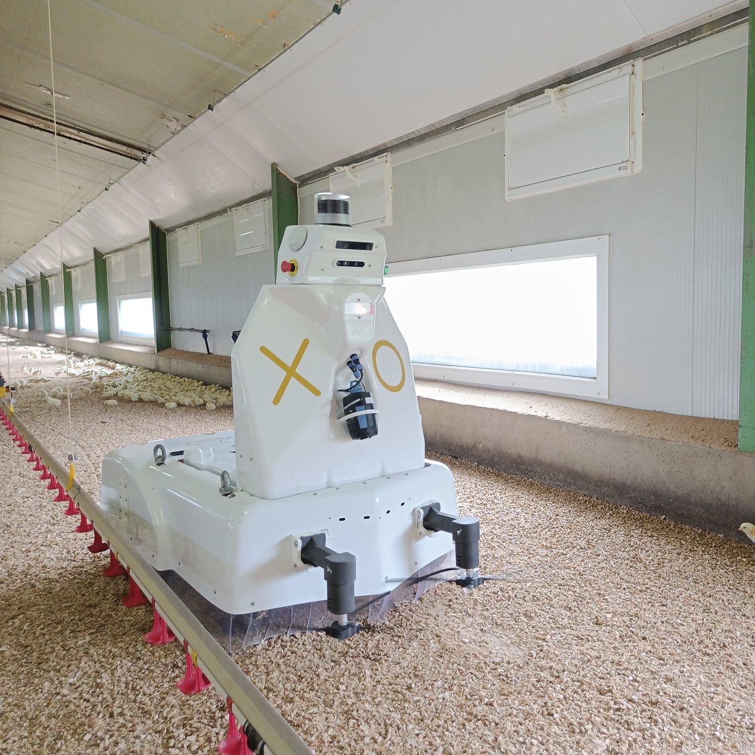 多目的ファｰムロボット - XO MINI - OCTOPUS BIOSAFETY - 自律型 / 家禽飼育