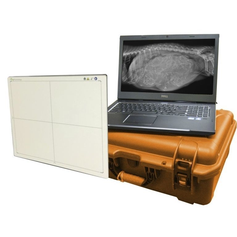 動物レントゲン用フラットパネル検出器 - DR-Wizard - Diagnostic Imaging Systems - 14 x 17 ...