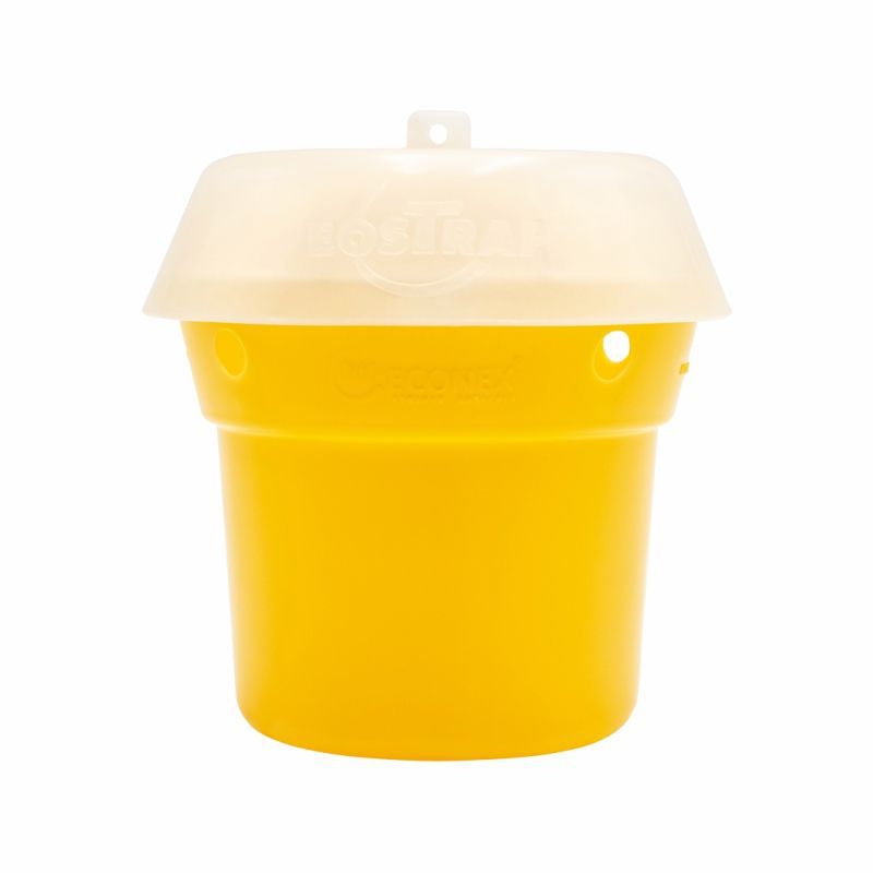 虫トラップ - TA090 - SANIDAD AGRICOLA ECONEX S.L. - 作物用