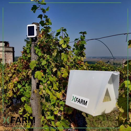 虫トラップ - xNode - X-FARM - 接着剤 / フェロモントラップ / 作物用