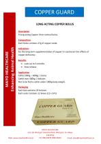 Product Brochure - Mayo Healthcare - PDF Catalogs | Technical ...