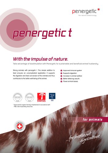 Tous les catalogues et fiches techniques (PDF) Penergetic International AG