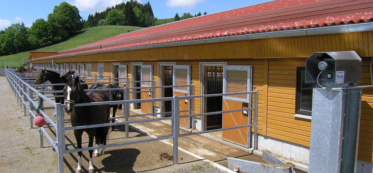 Estábulo - Wolf System GmbH