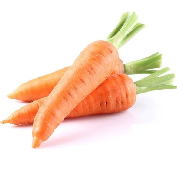 Semente de cenoura anual - Nantes Mini Core - Seeds by Design - híbrida ...