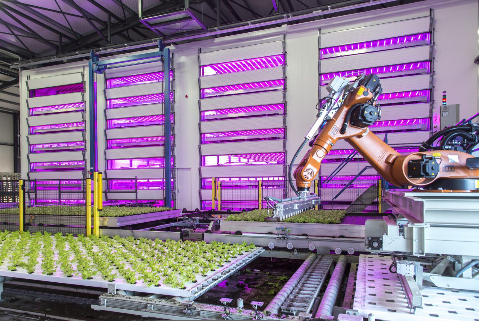 Câmara climática para crescimento de plantas - B-E De Lier GmbH ...