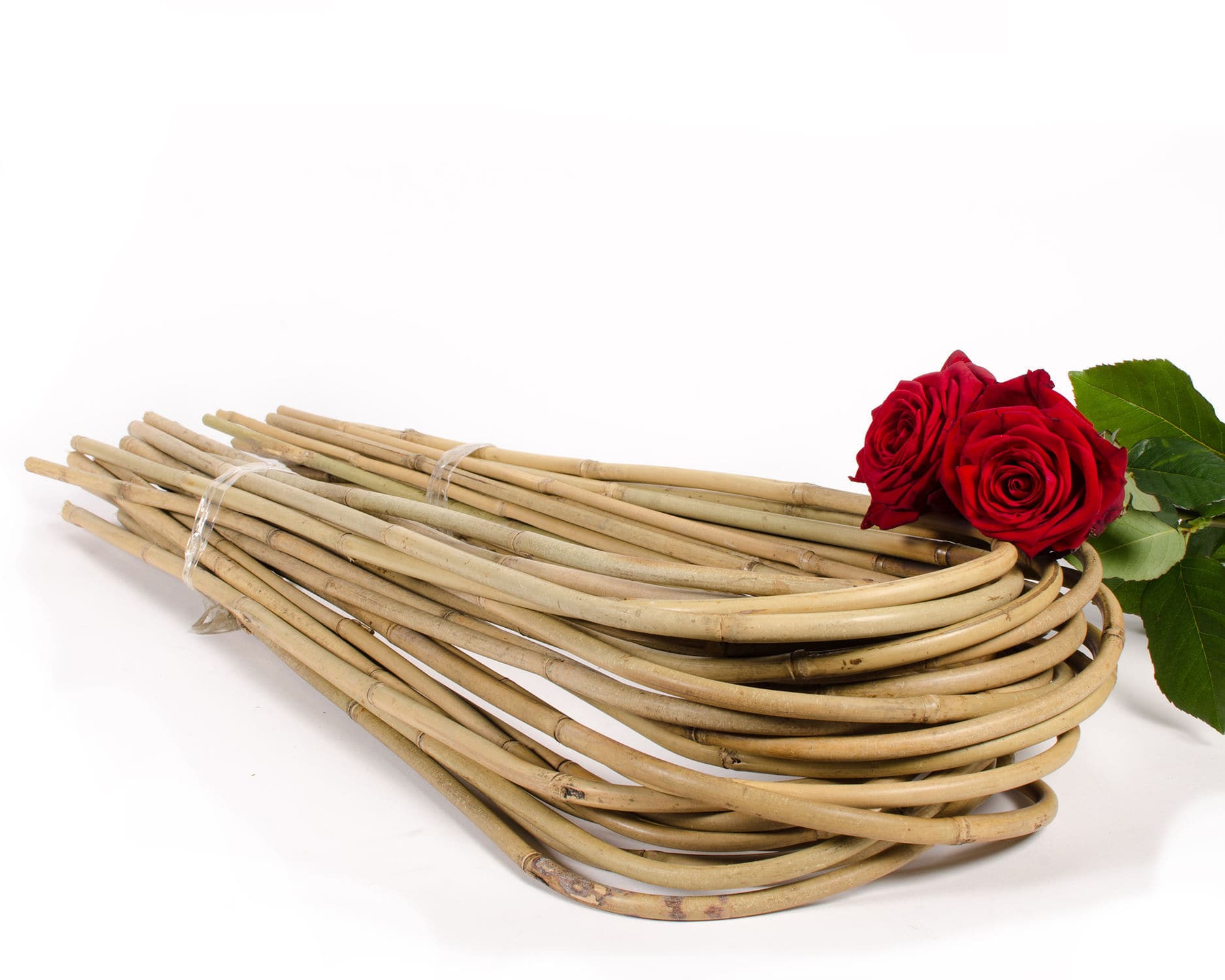 Tutor em bambu - Van Nifterik Holland B.V. - em bambu Tonkin / em forma ...