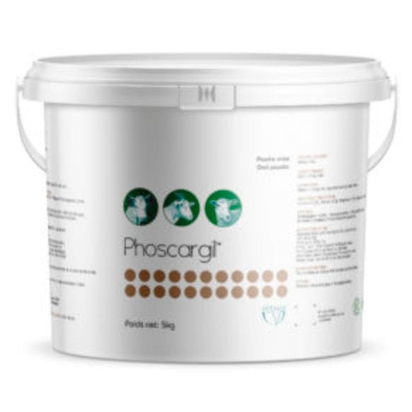 Suplemento para animais - Phoscargil - vetalis-technologie - para ...