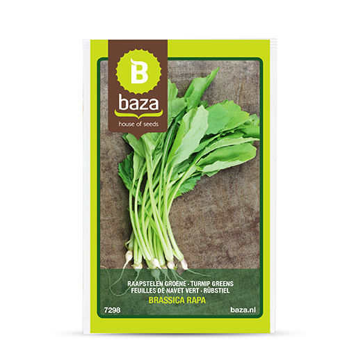 Semente de nabo precoce - 7298 - BAZA Seeds Holland b.v. - de outono