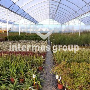 Filme para estufa - POLYANE 5TL - INTERMAS - transparente