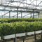 Bandeja de germinação em EPS - Styroblock - Beaver Plastics Ltd ...